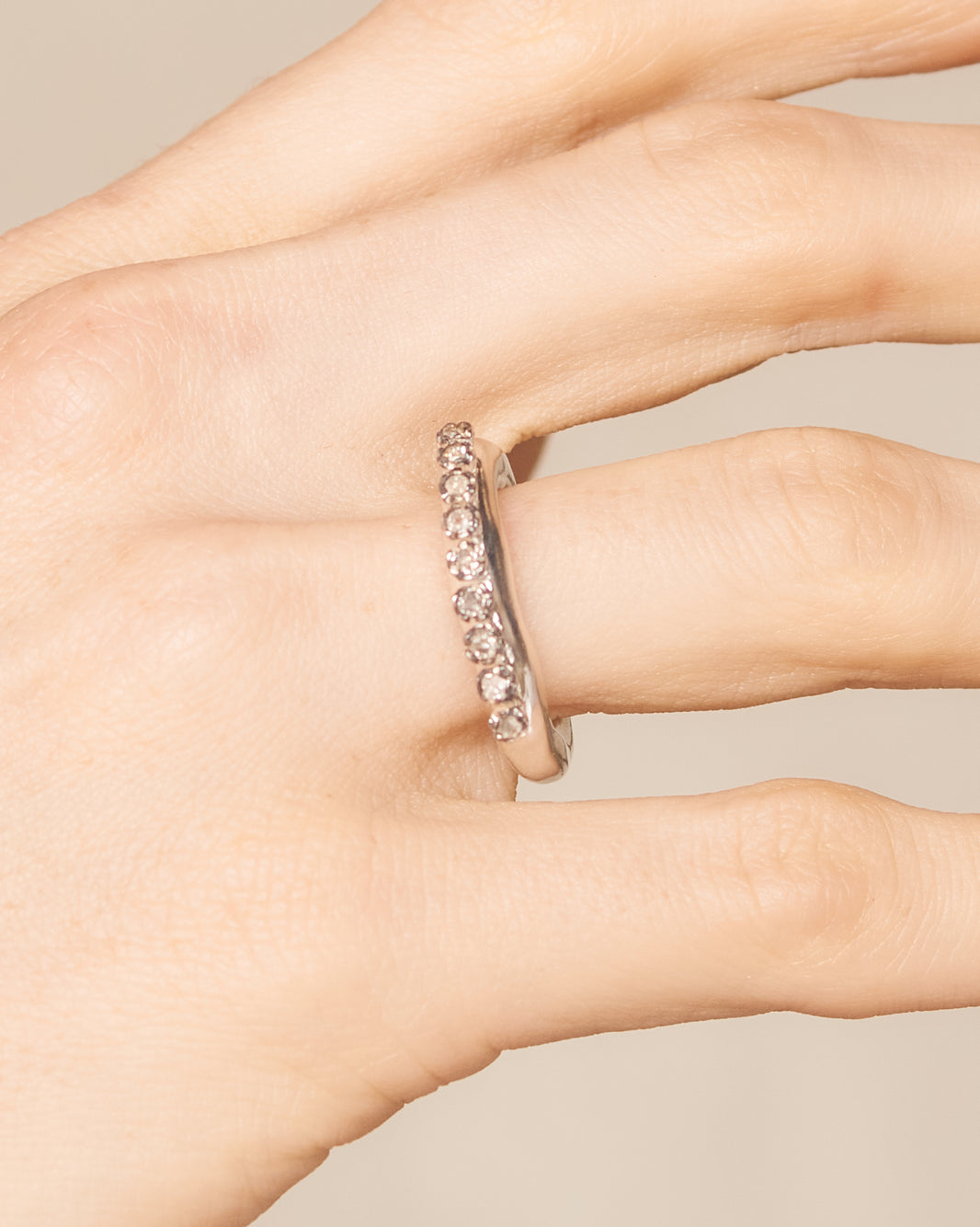 New Arrivals – Dilettante