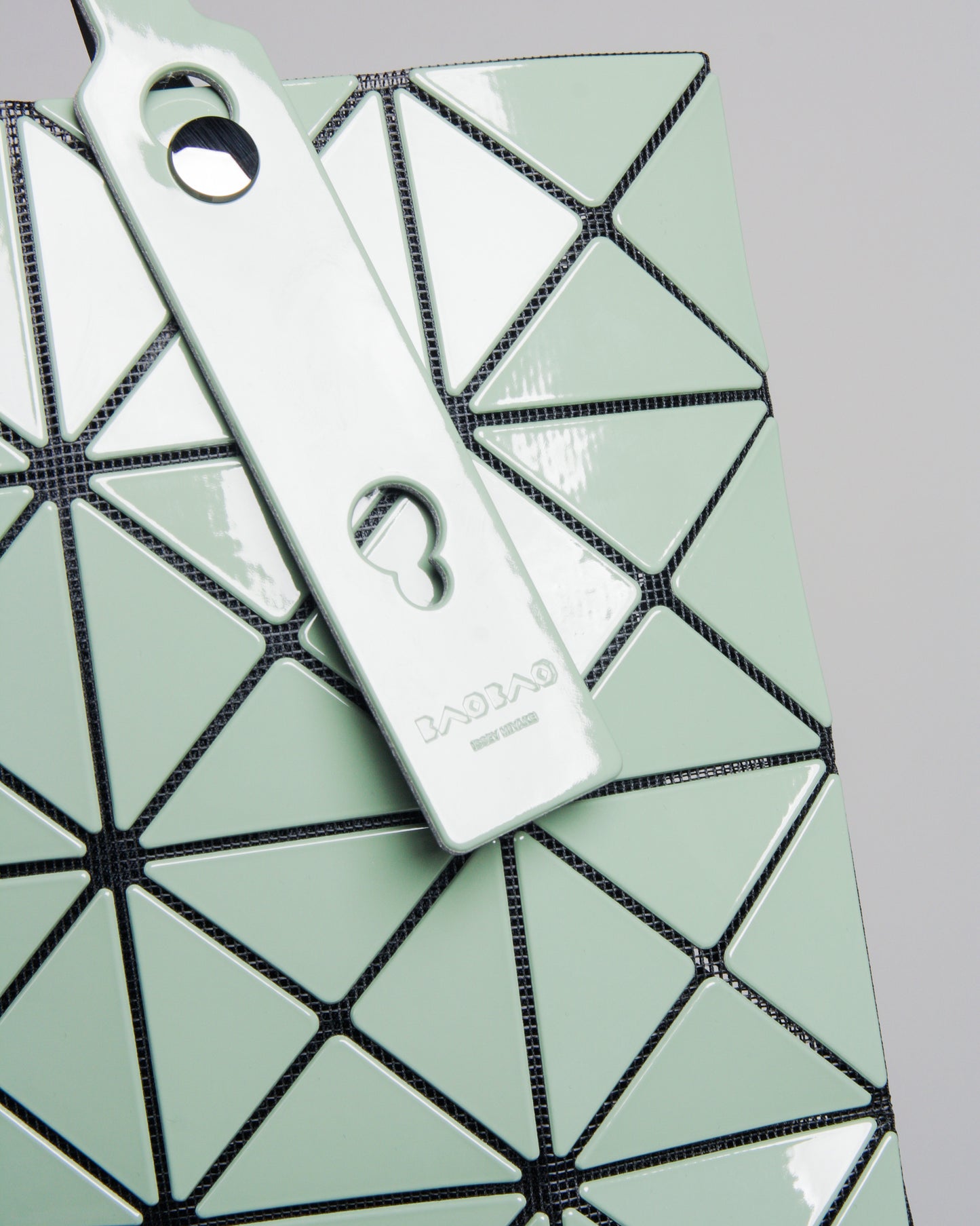 Two Tone Mint Green Lucent Tote – Dilettante